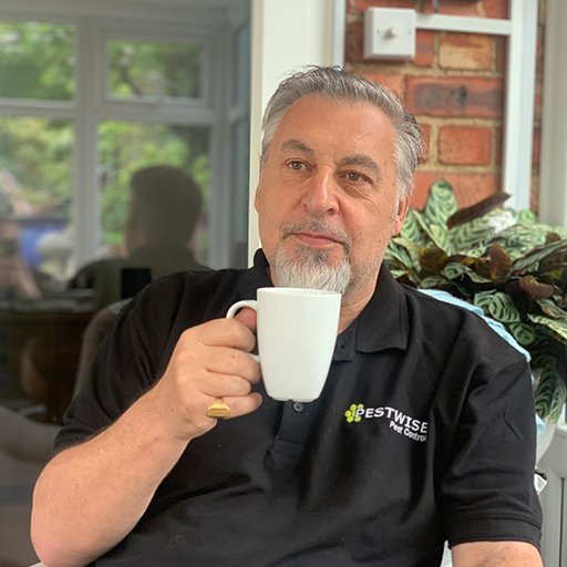 About Pestwise Pest Control Services